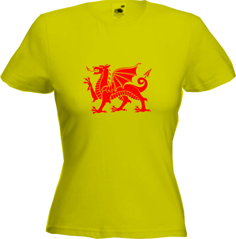 Welsh Dragon T-Shirt - Cymru, St Davids , Rugby , Euro Wales supporter ...